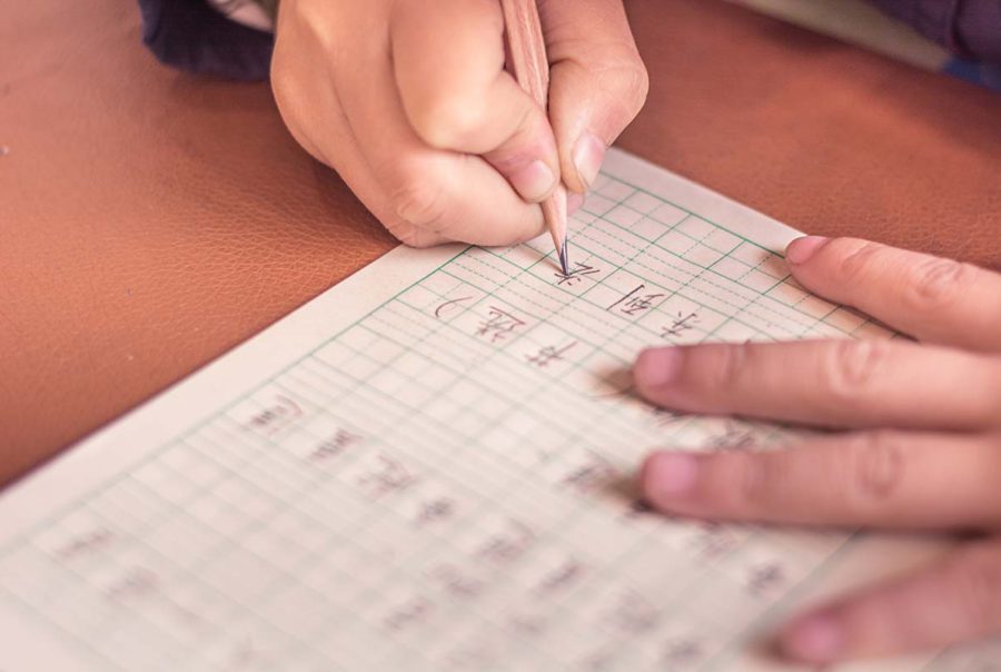 The 2023 PSLE Chinese guide you need | Eileen Choo